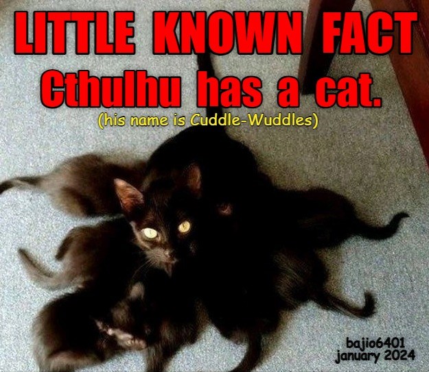 Cuddle-Wuddles - Lolcats - lol | cat memes | funny cats | funny cat ...