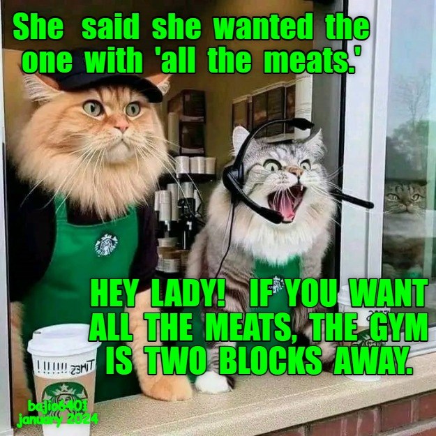 Wrong place - Lolcats - lol | cat memes | funny cats | funny cat ...