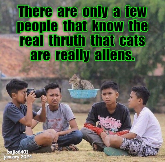 Aliens - Lolcats - lol | cat memes | funny cats | funny cat pictures ...