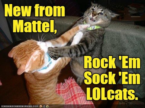 Rock 'em, sock 'em - Lolcats - lol | cat memes | funny cats | funny cat ...