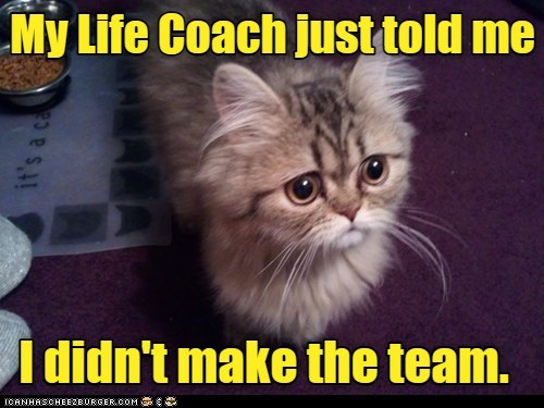 Life coach - Lolcats - lol | cat memes | funny cats | funny cat ...