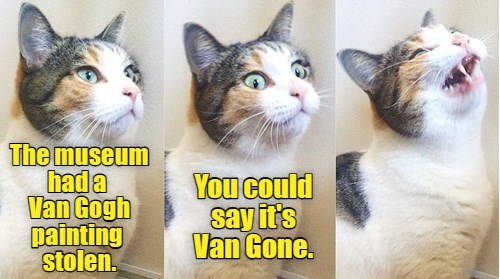 Van gone - Lolcats - lol | cat memes | funny cats | funny cat pictures ...