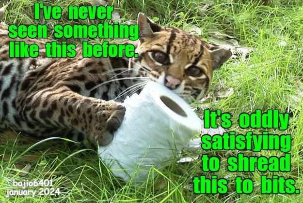 Oddly satisfying - Lolcats - lol | cat memes | funny cats | funny cat ...