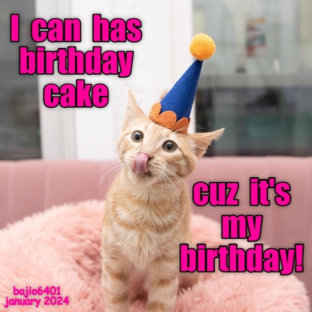 Happy birthday! - Lolcats - lol | cat memes | funny cats | funny cat ...