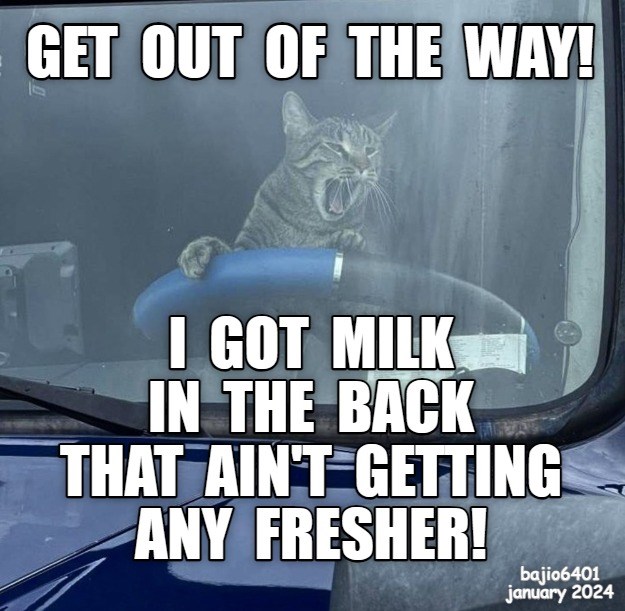 A purrfessional delivery driver - Lolcats - lol | cat memes | funny ...