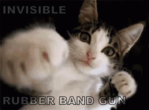 Invisible! - Lolcats - lol | cat memes | funny cats | funny cat ...