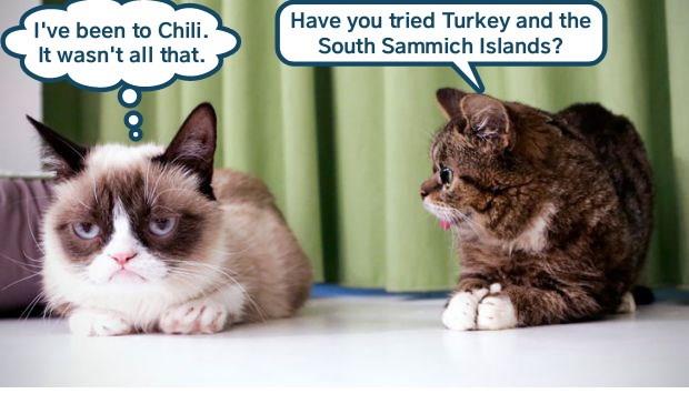 South Sammich - Lolcats - lol | cat memes | funny cats | funny cat ...