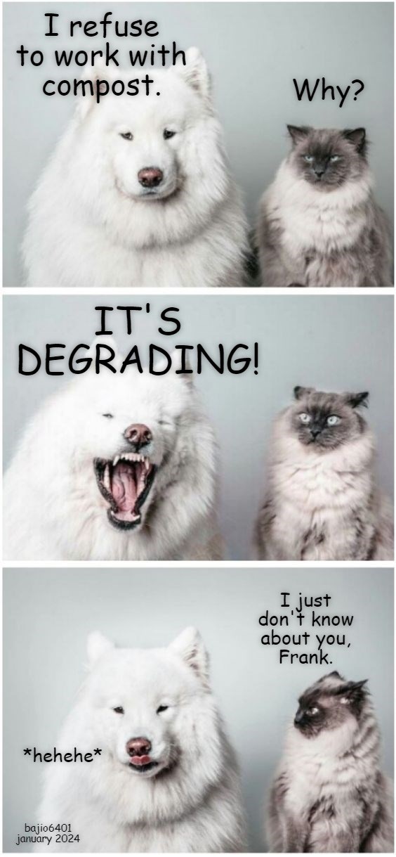 JOKE #34 - Lolcats - lol | cat memes | funny cats | funny cat pictures ...