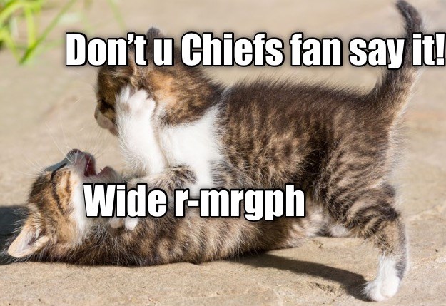 Chiefs fans - Lolcats - lol | cat memes | funny cats | funny cat ...
