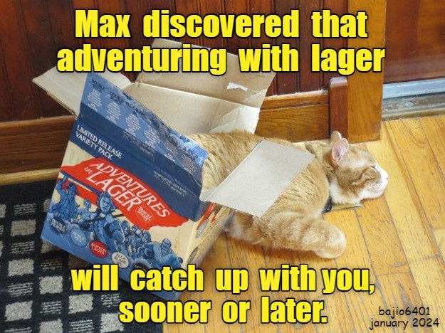 Sooner or later - Lolcats - lol | cat memes | funny cats | funny cat ...