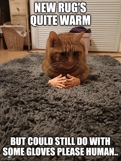 A helping hand - Lolcats - lol | cat memes | funny cats | funny cat ...