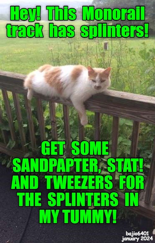 Splinters - Lolcats - lol | cat memes | funny cats | funny cat pictures ...