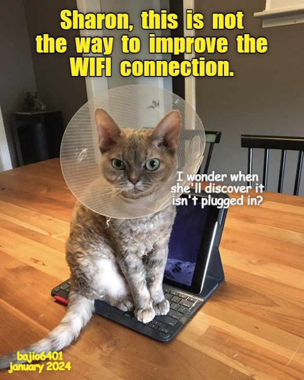 Satellite cat - Lolcats - lol | cat memes | funny cats | funny cat ...