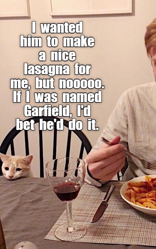 Garfield - Lolcats - lol | cat memes | funny cats | funny cat pictures ...