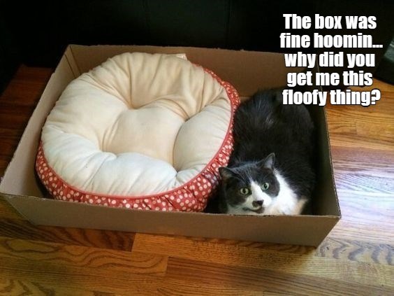 What a waste - Lolcats - lol | cat memes | funny cats | funny cat ...