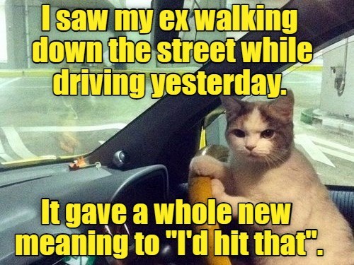 Driving thoughts - Lolcats - lol | cat memes | funny cats | funny cat ...