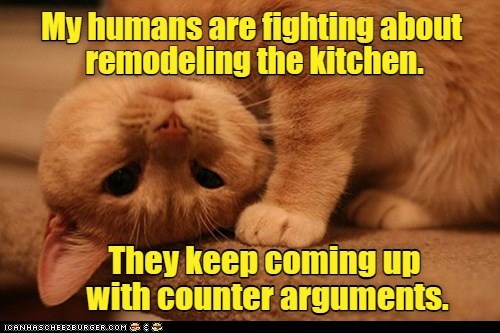Counter arguments - Lolcats - lol | cat memes | funny cats | funny cat ...