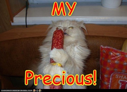 Keep the ring, I know what is important - Lolcats - lol | cat memes ...