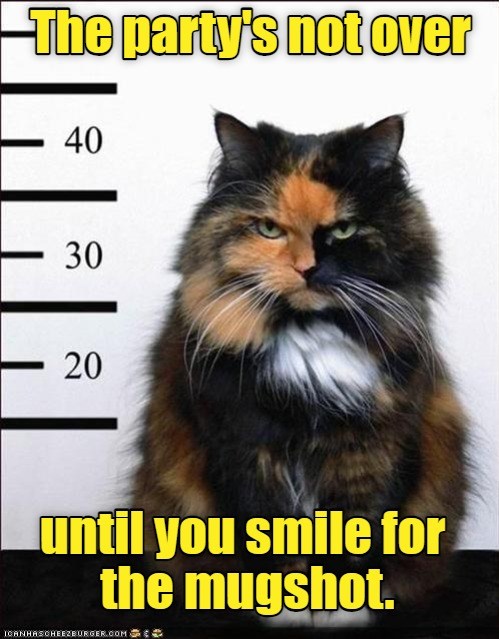 Say cheese! - Lolcats - lol | cat memes | funny cats | funny cat ...