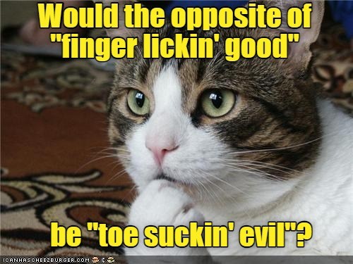Inquiring minds want to know - Lolcats - lol | cat memes | funny cats ...