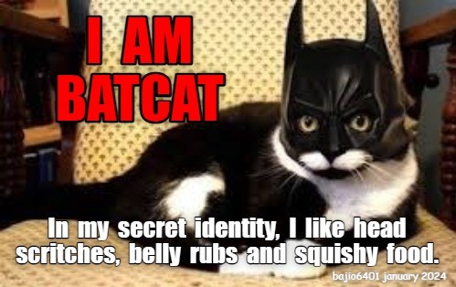 Batcat - Lolcats - lol | cat memes | funny cats | funny cat pictures ...