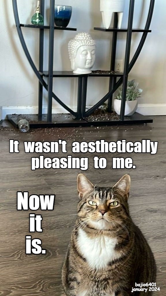 Interior design - Lolcats - lol | cat memes | funny cats | funny cat ...