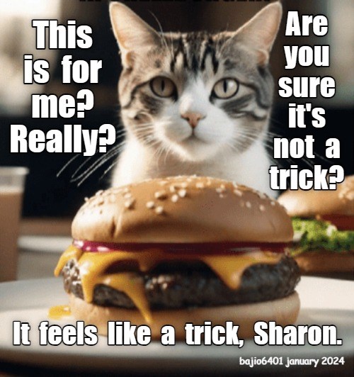 ICanHas indeed - Lolcats - lol | cat memes | funny cats | funny cat ...