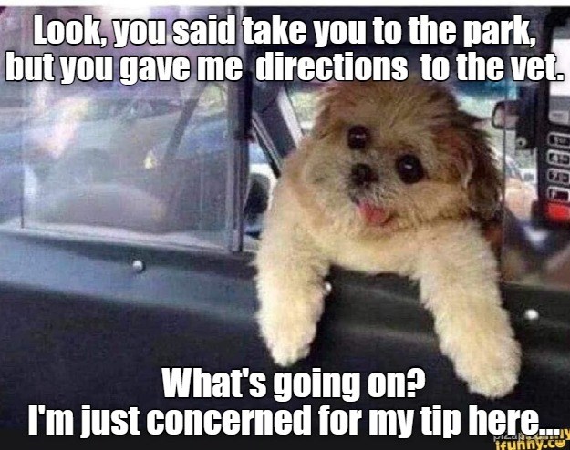 Mildly concerned - Animal Comedy - Animal Comedy, funny animals, animal ...