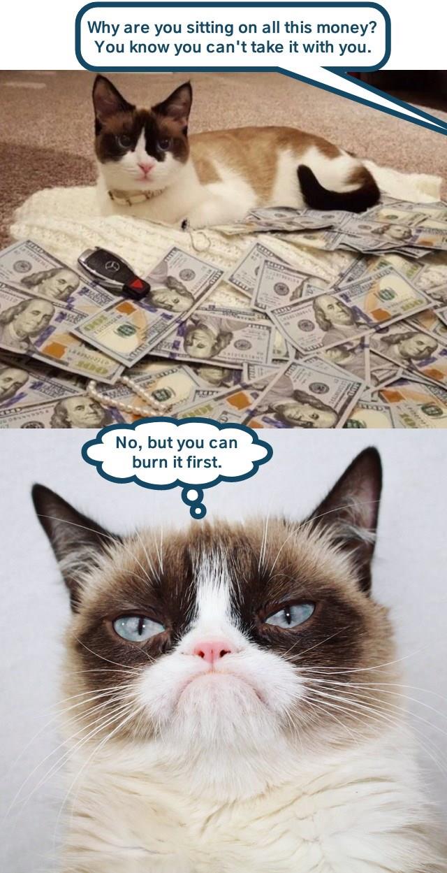 Second-paw Scrooge-ing - Lolcats - lol | cat memes | funny cats | funny ...