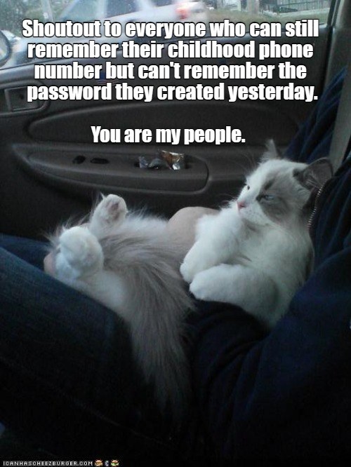 Our people - Lolcats - lol | cat memes | funny cats | funny cat ...