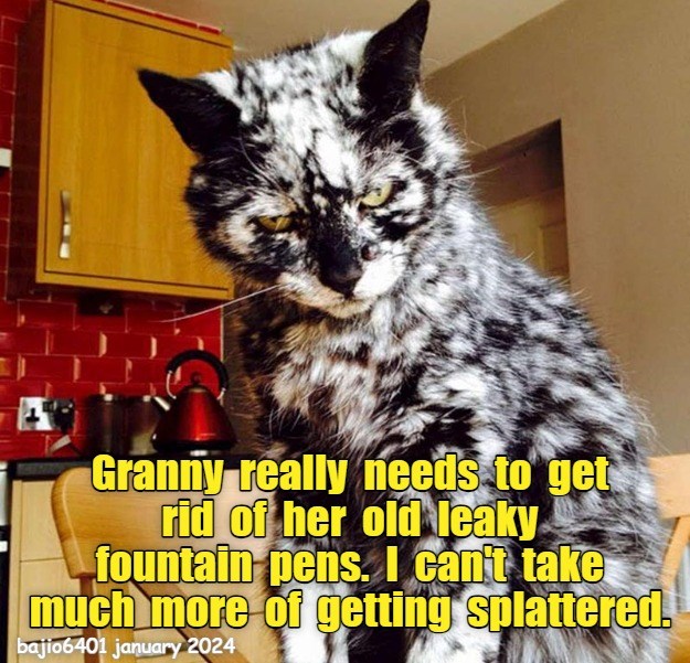 Fountain pens - Lolcats - lol | cat memes | funny cats | funny cat ...