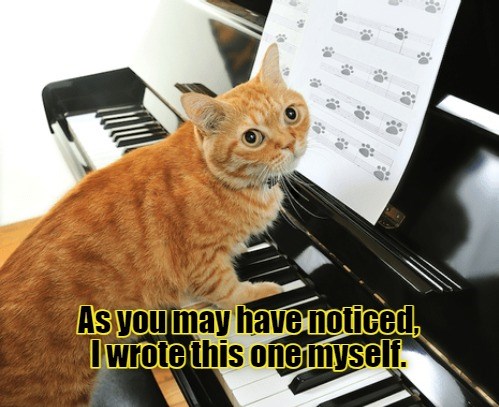 My own composition - Lolcats - lol | cat memes | funny cats | funny cat ...