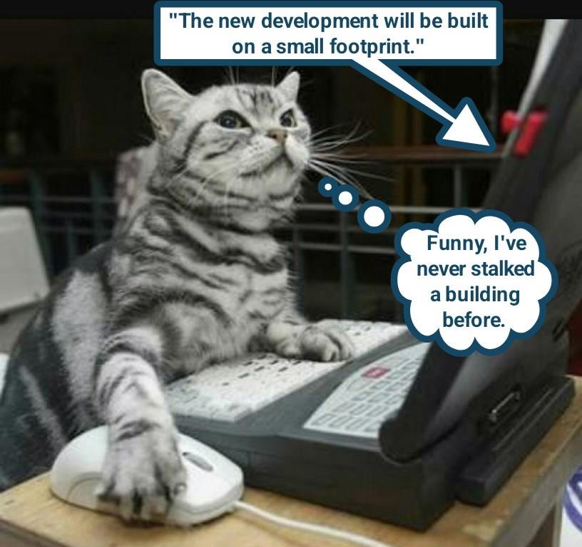 Canny cat hunter - Lolcats - lol | cat memes | funny cats | funny cat ...