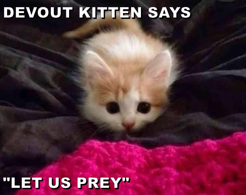 Let us prey - Lolcats - lol | cat memes | funny cats | funny cat ...