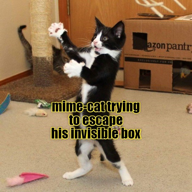 Mime-cat - Lolcats - lol | cat memes | funny cats | funny cat pictures ...