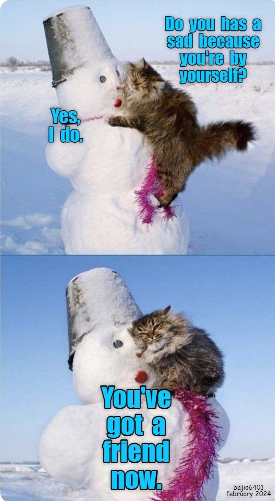 Alone no more - Lolcats - lol | cat memes | funny cats | funny cat ...