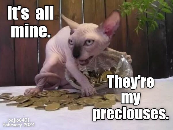 My precious - Lolcats - lol | cat memes | funny cats | funny cat ...