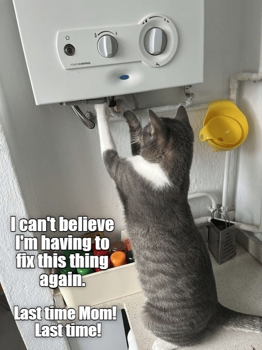 Last time! - Lolcats - lol | cat memes | funny cats | funny cat ...