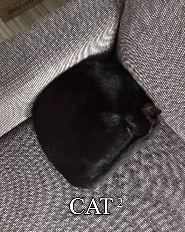 Cat Squared - I Can Has Cheezburger?