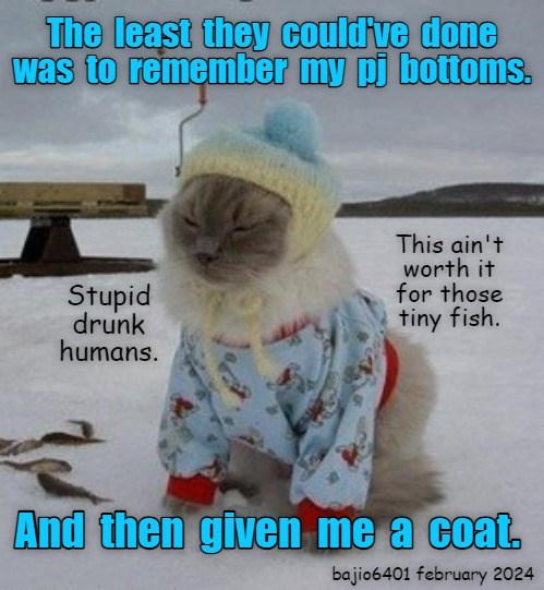 Half cold - Lolcats - lol | cat memes | funny cats | funny cat pictures ...