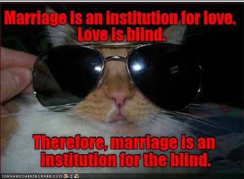 Logical - Lolcats - lol | cat memes | funny cats | funny cat pictures ...