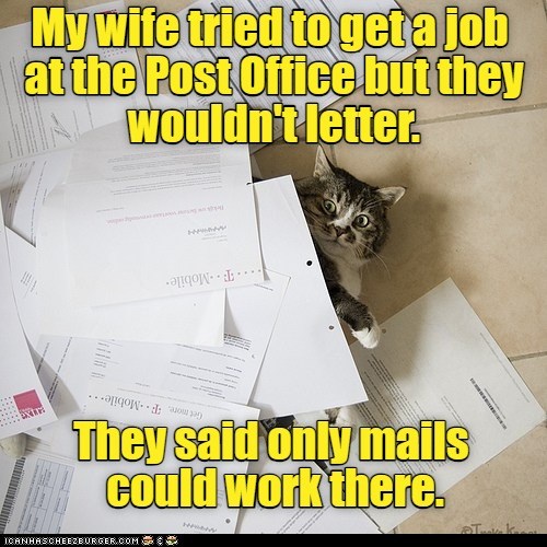 Only mails - Lolcats - lol | cat memes | funny cats | funny cat ...