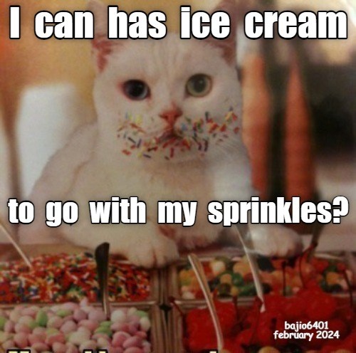 ICanHasIceCream - Lolcats - lol | cat memes | funny cats | funny cat ...