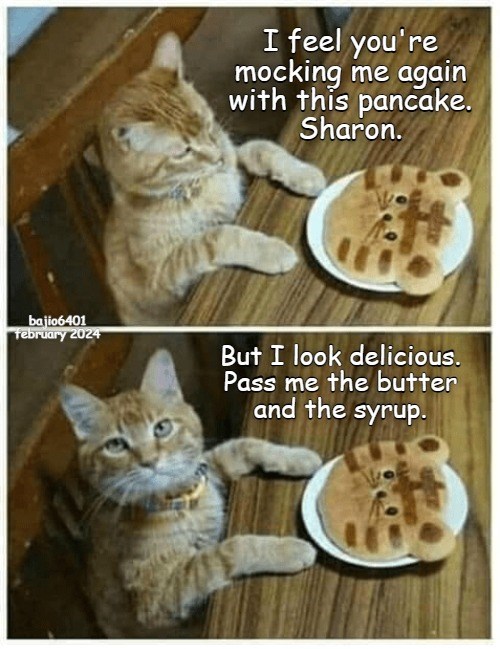 Still gonna eat it - Lolcats - lol | cat memes | funny cats | funny cat ...
