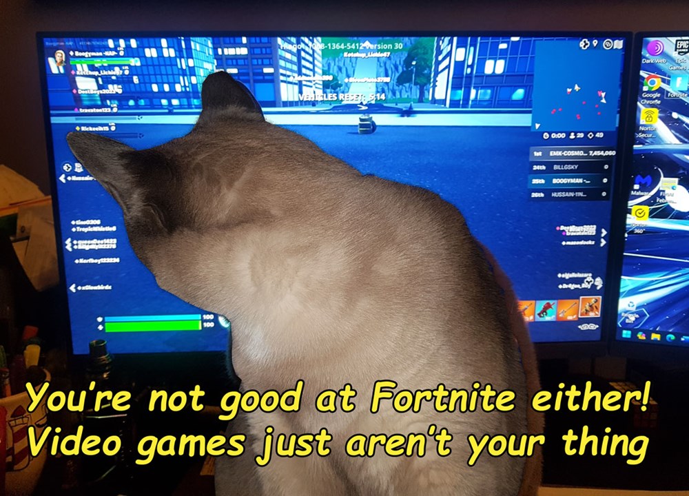 Fortnite - Lolcats - lol | cat memes | funny cats | funny cat pictures ...