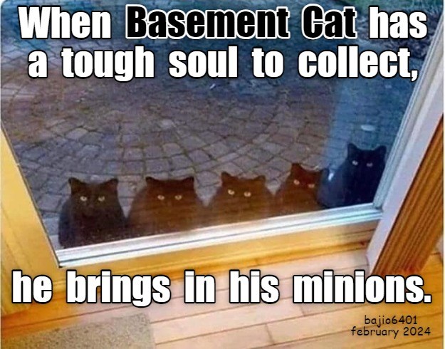 Minions of darkness - Lolcats - lol | cat memes | funny cats | funny ...
