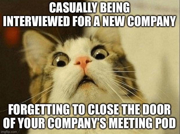 Meeting pod - Lolcats - lol | cat memes | funny cats | funny cat ...