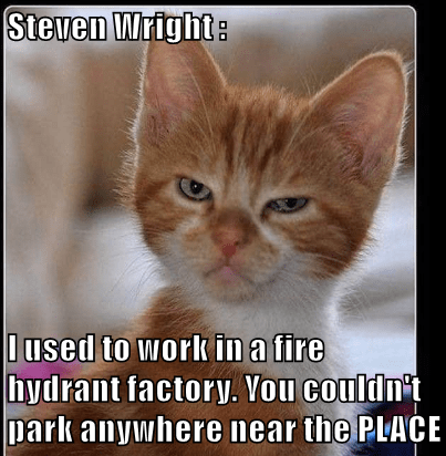 Steven Wright - Lolcats - lol | cat memes | funny cats | funny cat ...