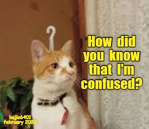 How did you know? - Lolcats - lol | cat memes | funny cats | funny cat ...