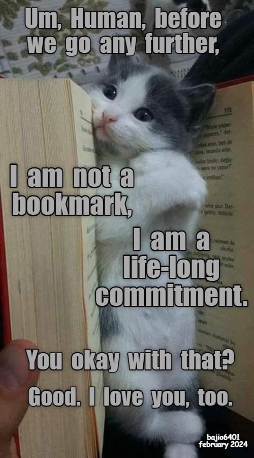 Not a bookmark - Lolcats - lol | cat memes | funny cats | funny cat ...